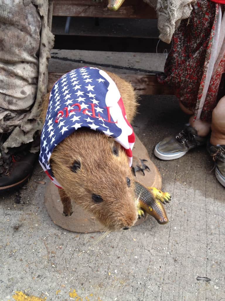 How To Eat Rabbit Gumbo - The Swirl World